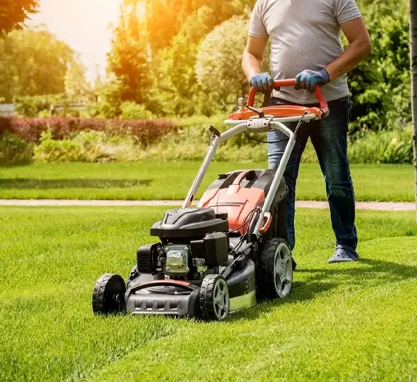 Home Lawn Care Service in Elkmont, AL Good Ground LLC