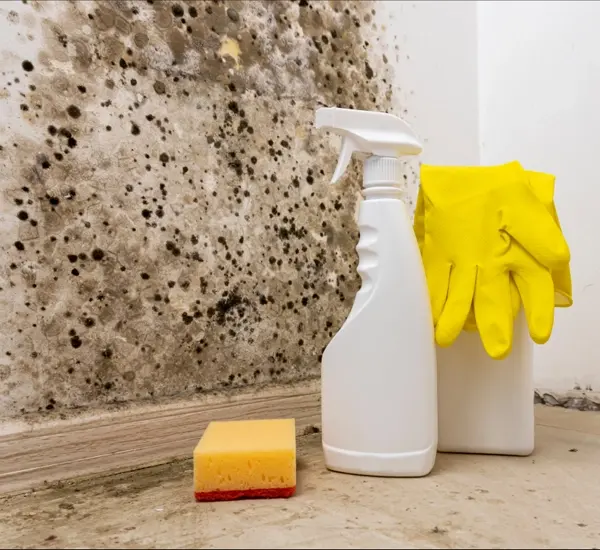 Mold Removal in Shepherdsville, KY | CrawlTech Solutions